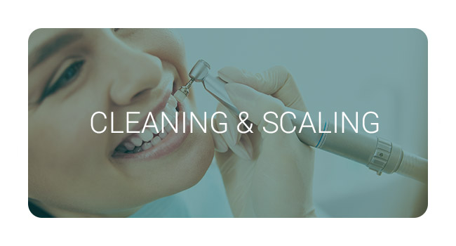 Pediatric Dentist - Dr Tooth Little Dentists Montana, Groenkloof, Centurion